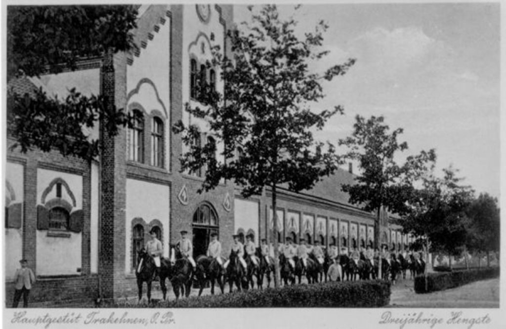 Remonten aus Ostpreußen - Trakehnen Verein